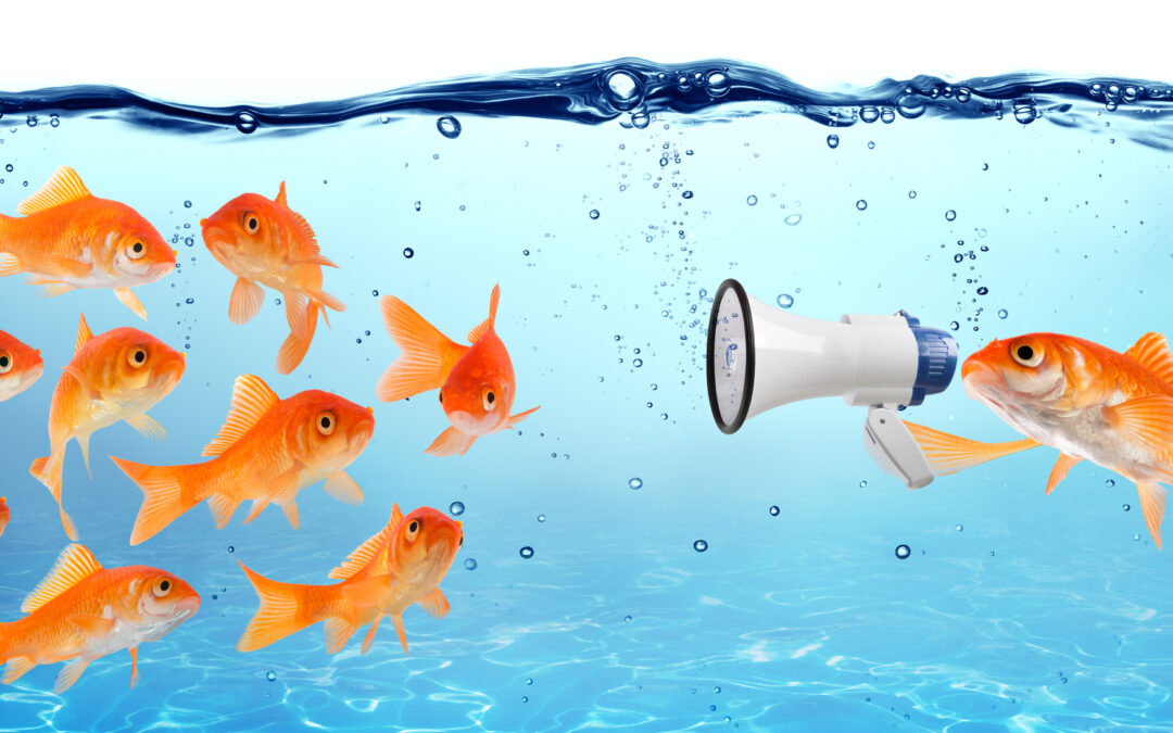 Stand Out and Rise - The Art of Effective Self-Promotion - Roz Usheroff